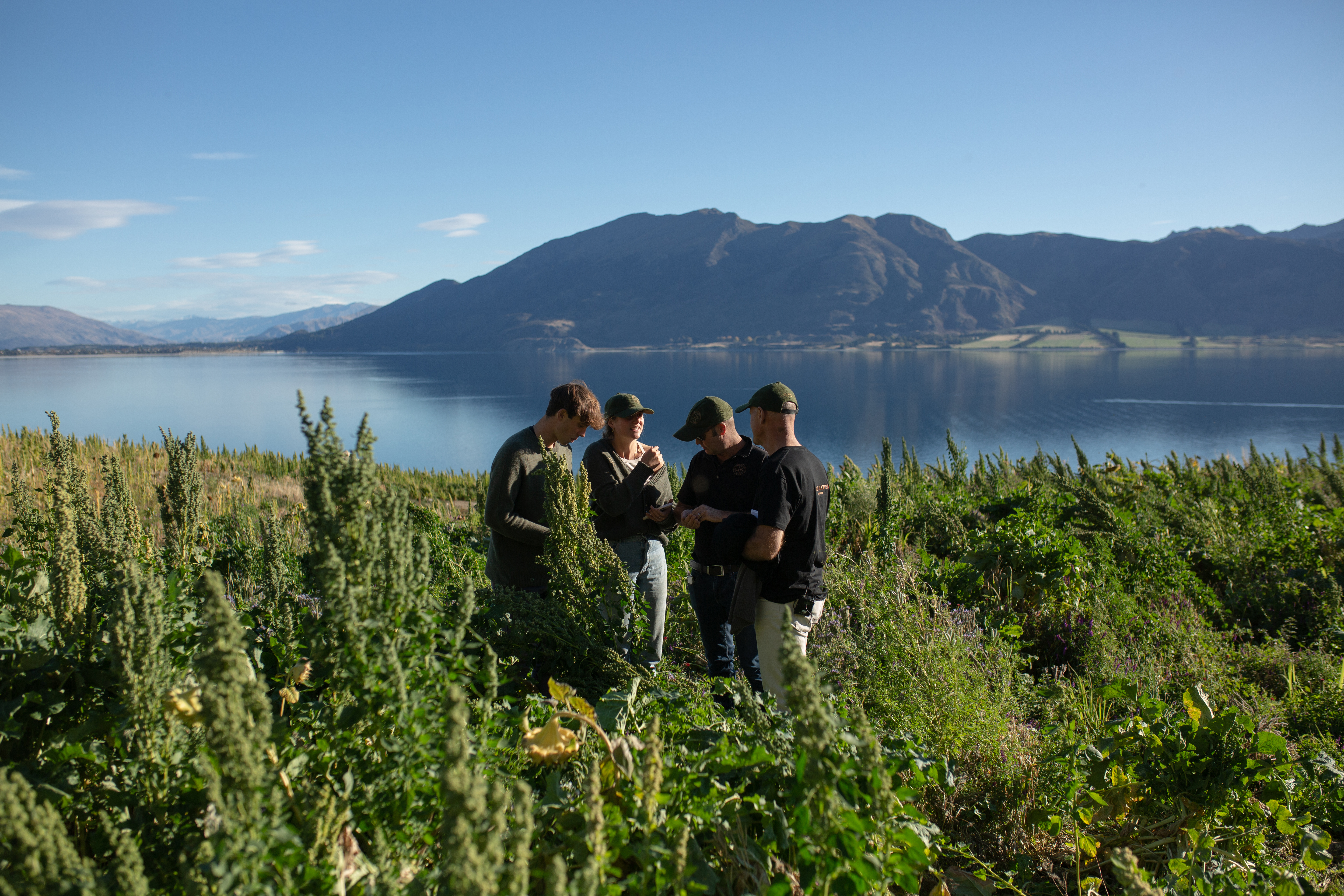 Lake Hāwea Station – 2021 Awards finalist - SBN