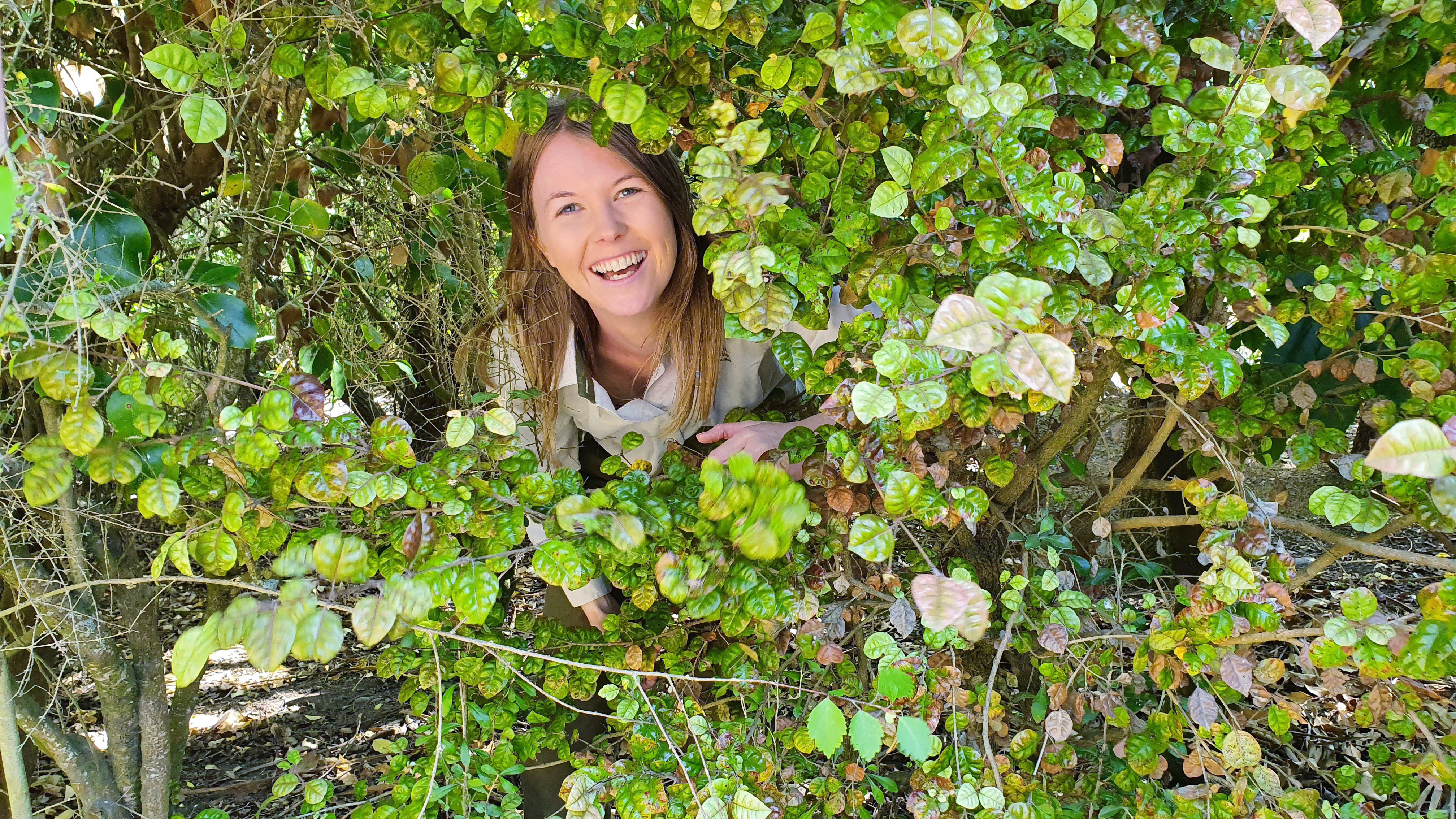 News & Insights - SBN