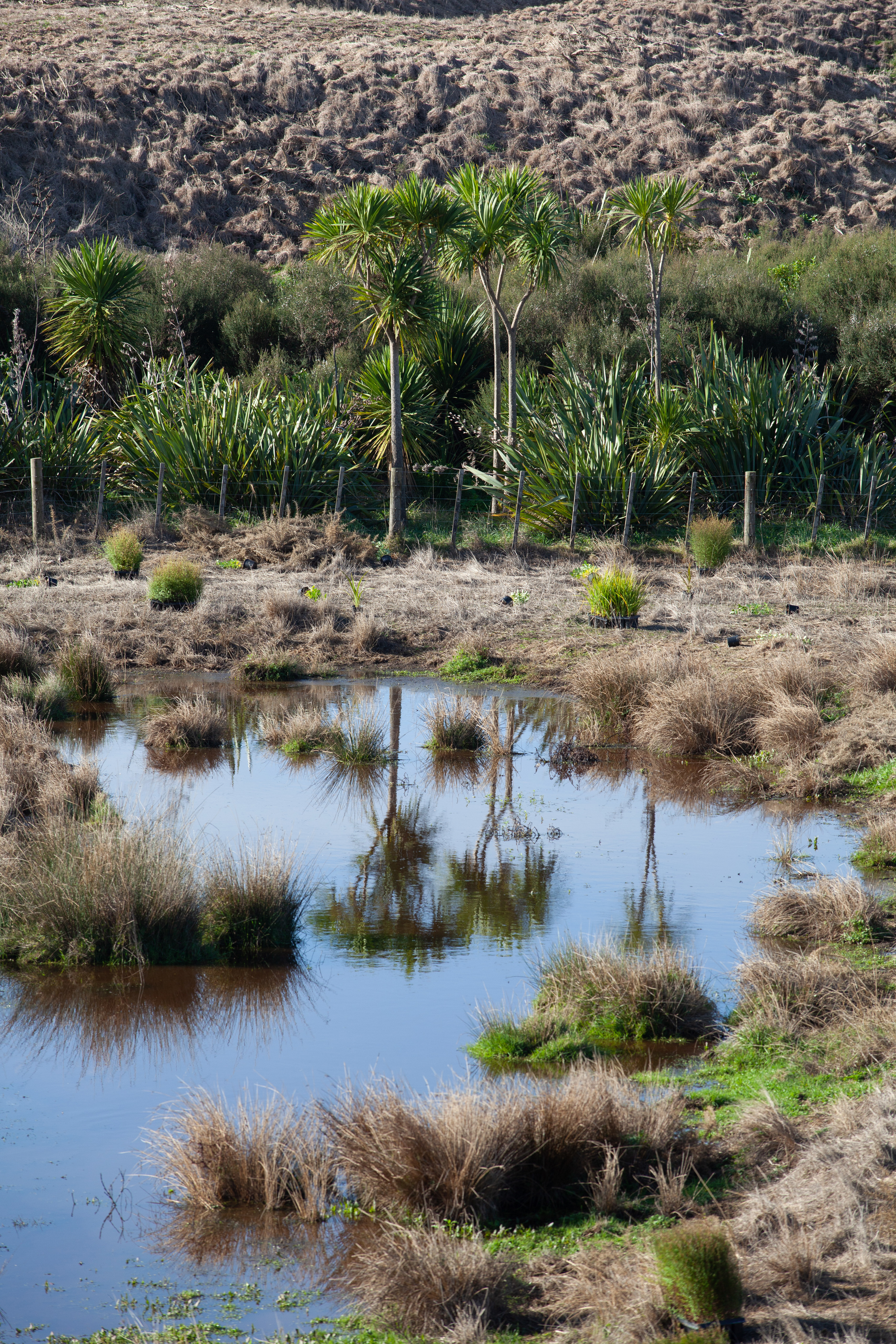 The changing state of the Puhinui - SBN