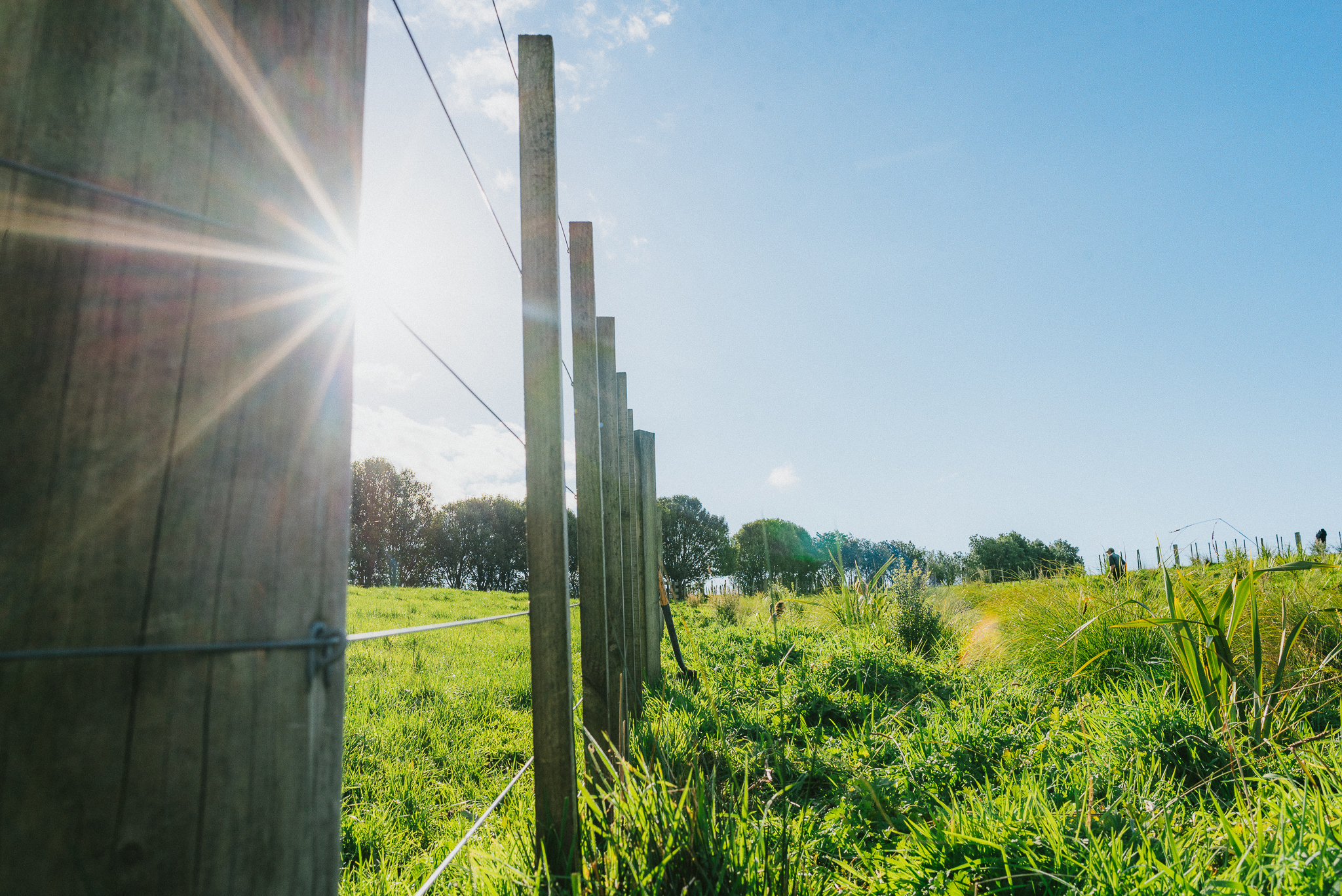 Step 2: Fence your waterway - SBN