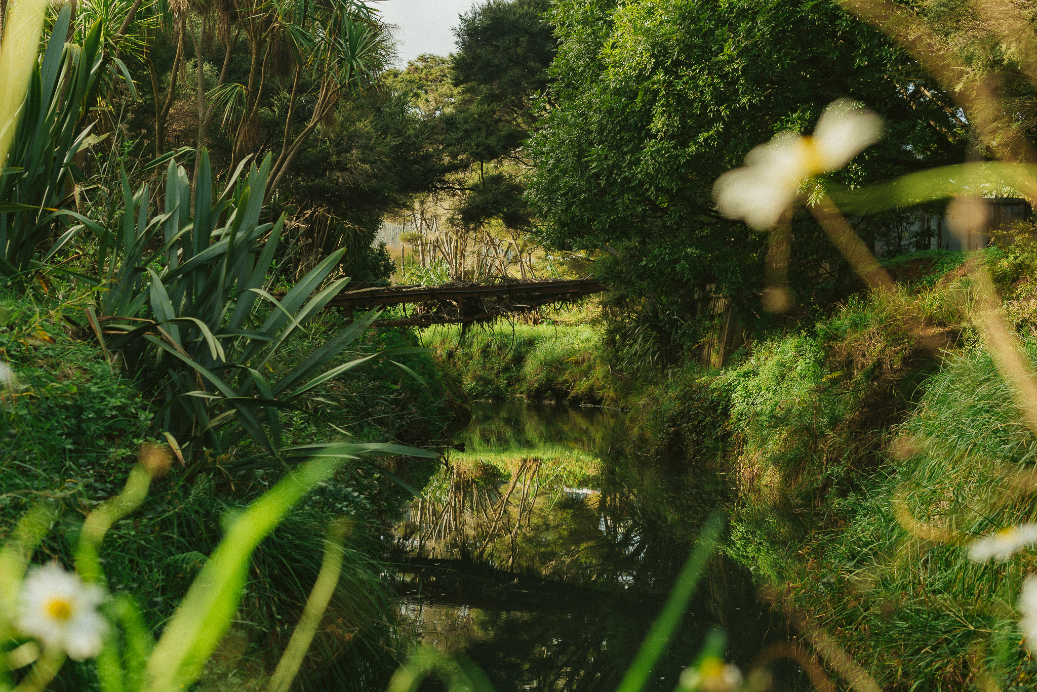 Fish passage and wildlife corridors - SBN